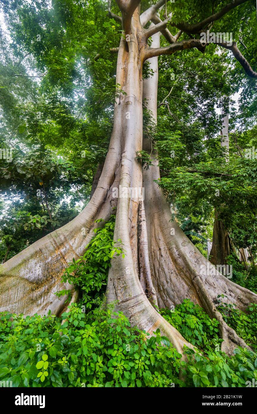 Lesser sunda islands hi-res stock photography and images - Alamy