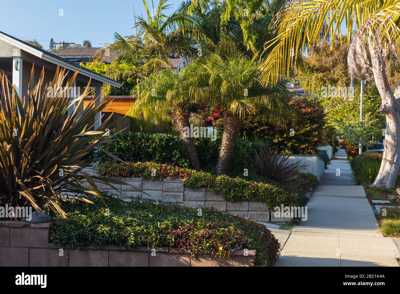 California neighborhood view of home landscaping down the sidewalk ...
