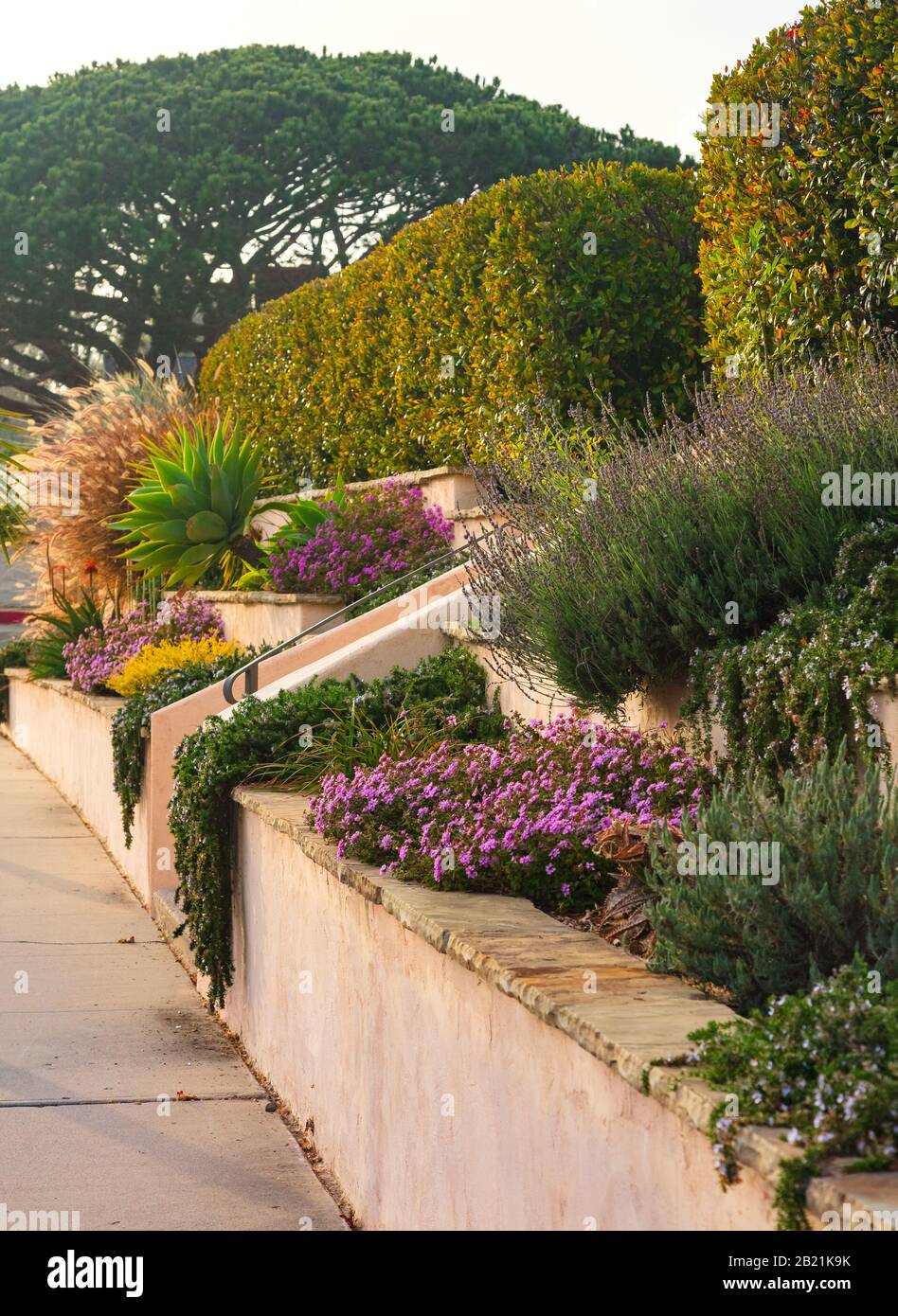 Ornate and varied California home landscaping example with garden wall ...