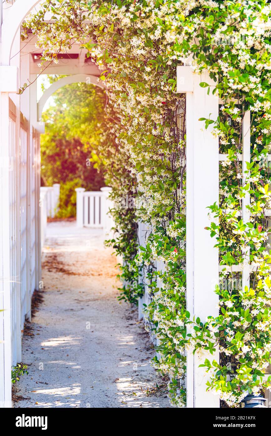 Clematis arch hi-res stock photography and images - Alamy