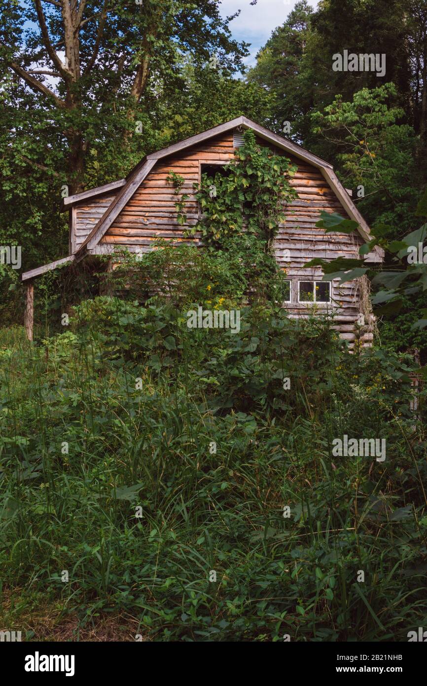 Bush outhouse hi-res stock photography and images - Alamy