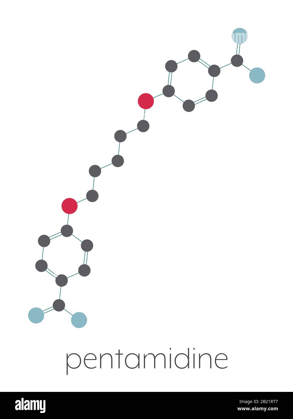 Leishmania protozoa hi-res stock photography and images - Alamy