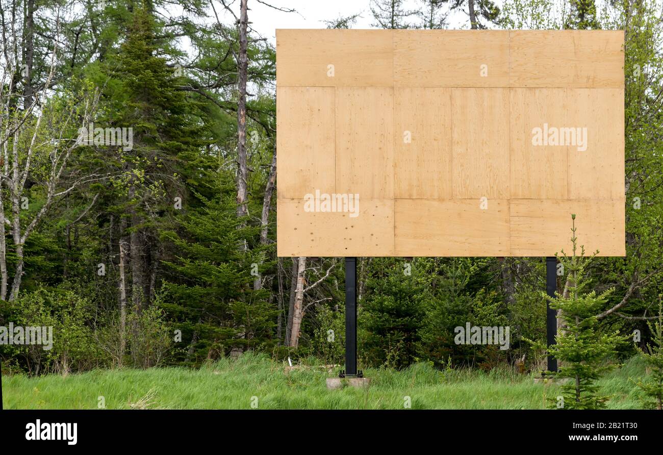 A blank wooden billboard at the side of a highhway. Trees behind the ...
