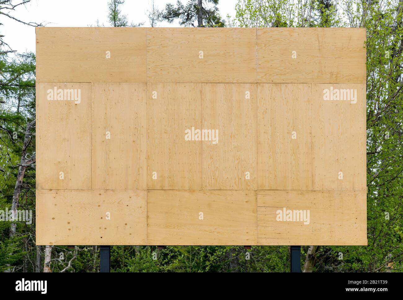 A blank wooden billboard at the side of a highhway. Trees behind the ...