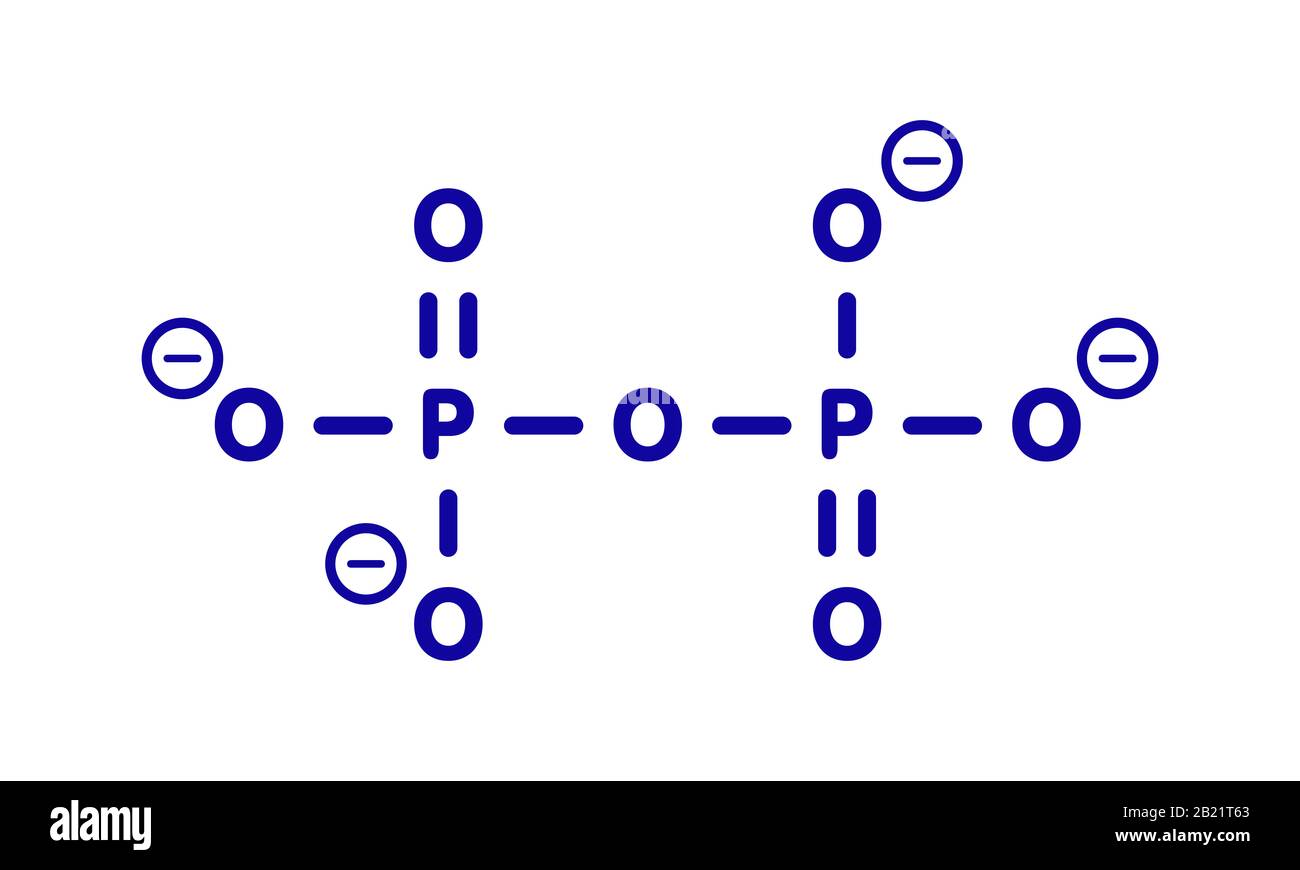 Pyrophosphoryl Group