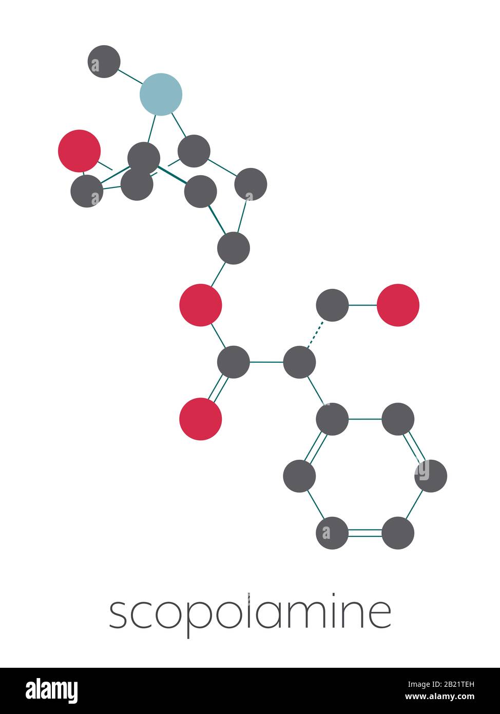 Scopolamine anticholinergic drug molecule, illustration Stock Photo - Alamy