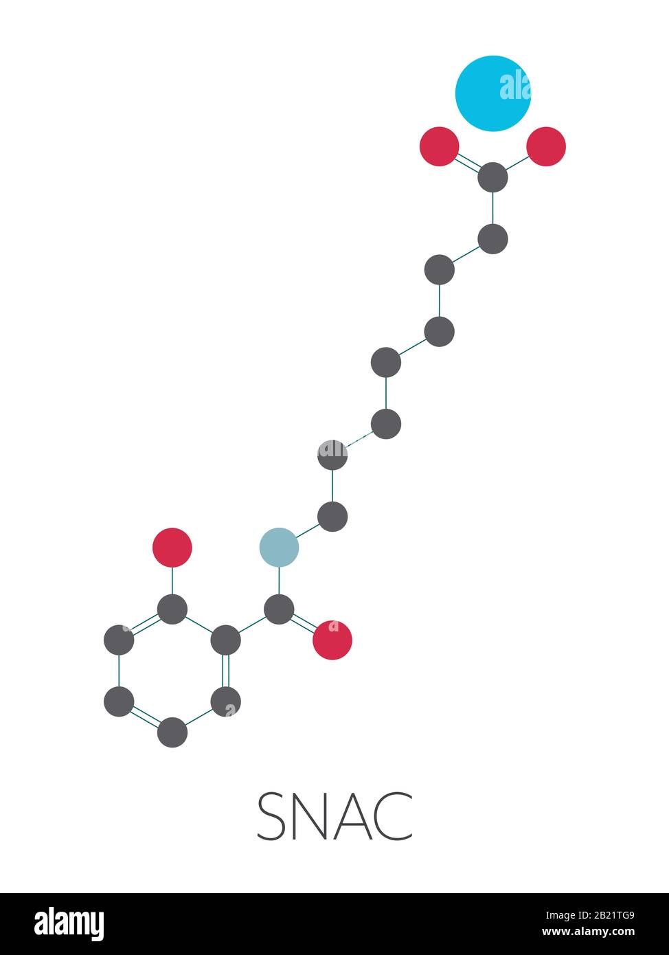 Sodium salcaprozate or SNAC molecule, illustration Stock Photo - Alamy