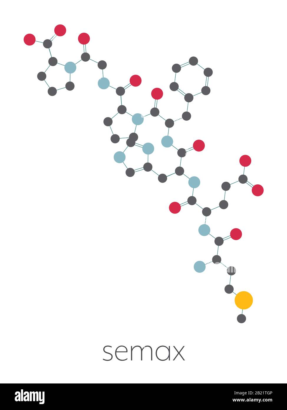 Semax peptide drug molecule, illustration Stock Photo - Alamy
