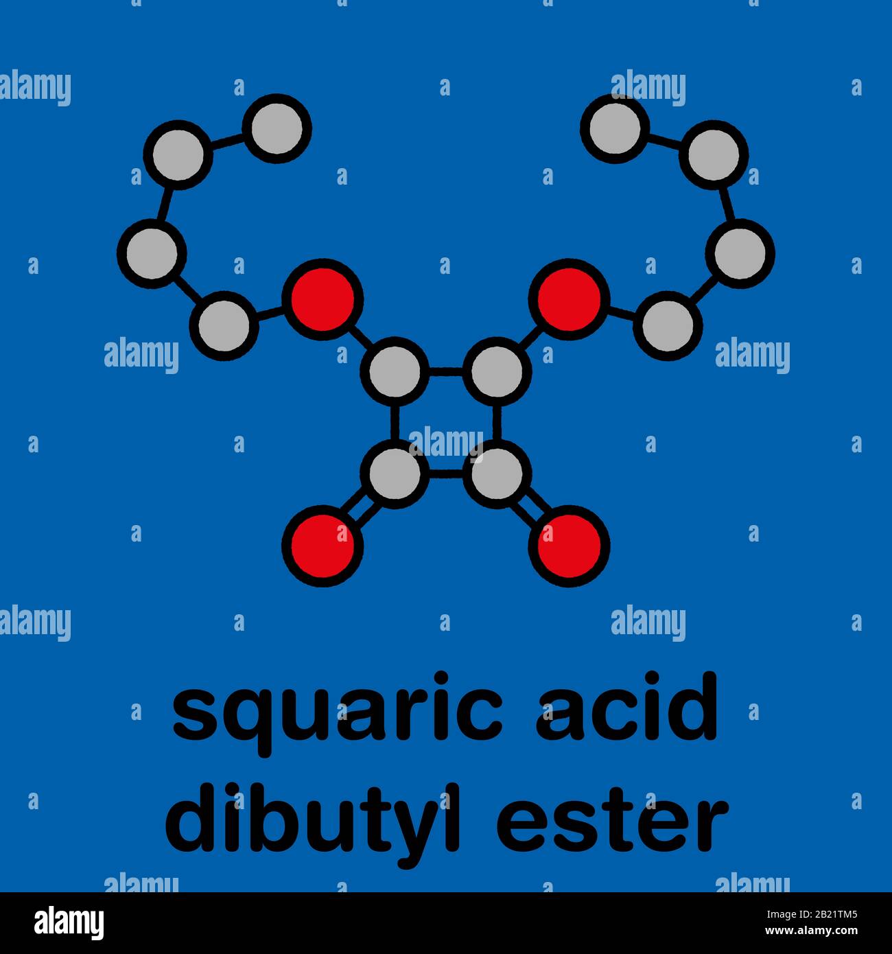 Squaric acid dibutyl ester drug molecule, illustration Stock Photo - Alamy