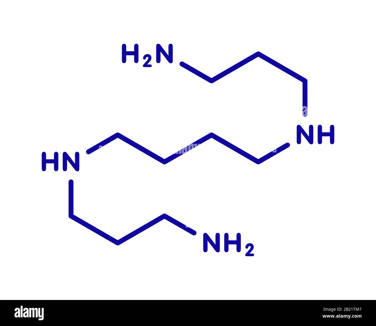 Spermine molecule, illustration Stock Photo - Alamy
