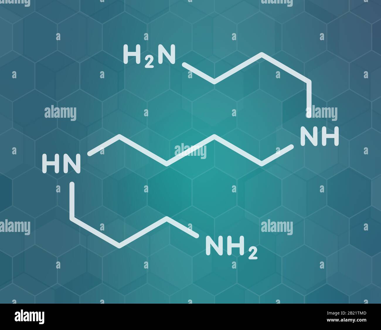 Spermine molecule, illustration Stock Photo - Alamy