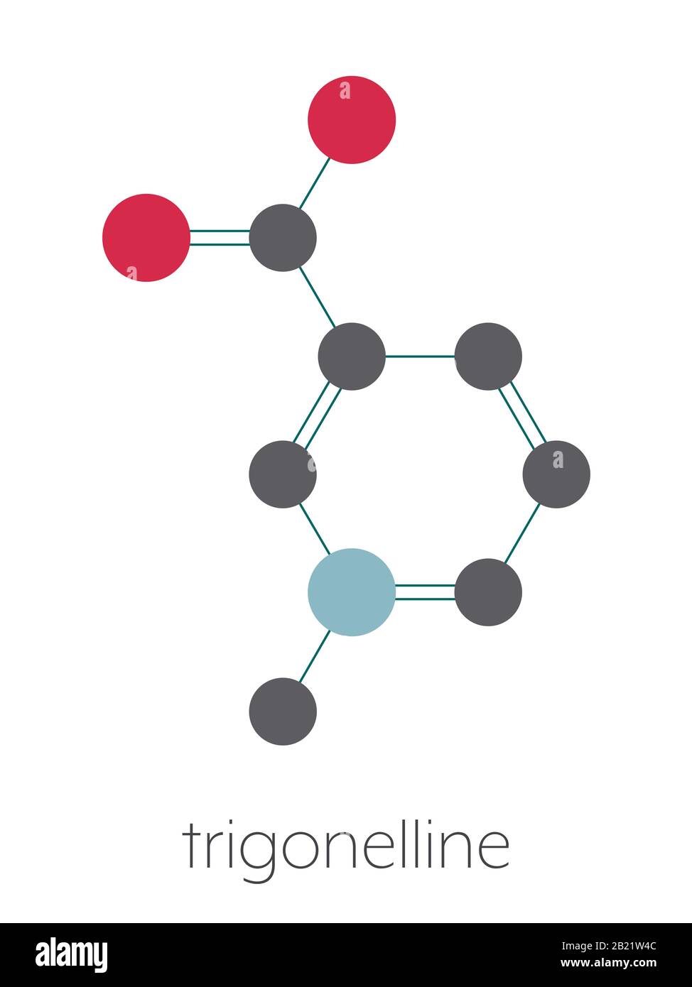 Trigonelline molecule, illustration Stock Photo - Alamy