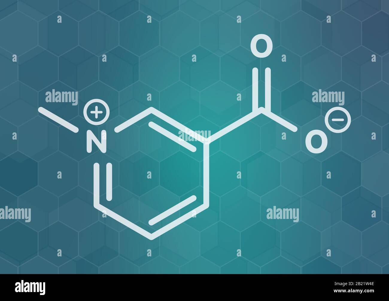 Trigonelline molecule, illustration Stock Photo - Alamy