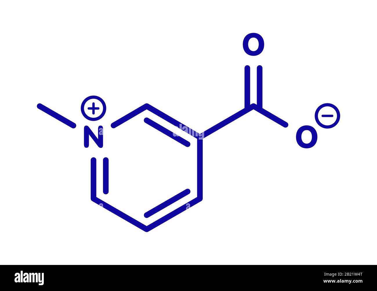 Trigonelline molecule, illustration Stock Photo - Alamy