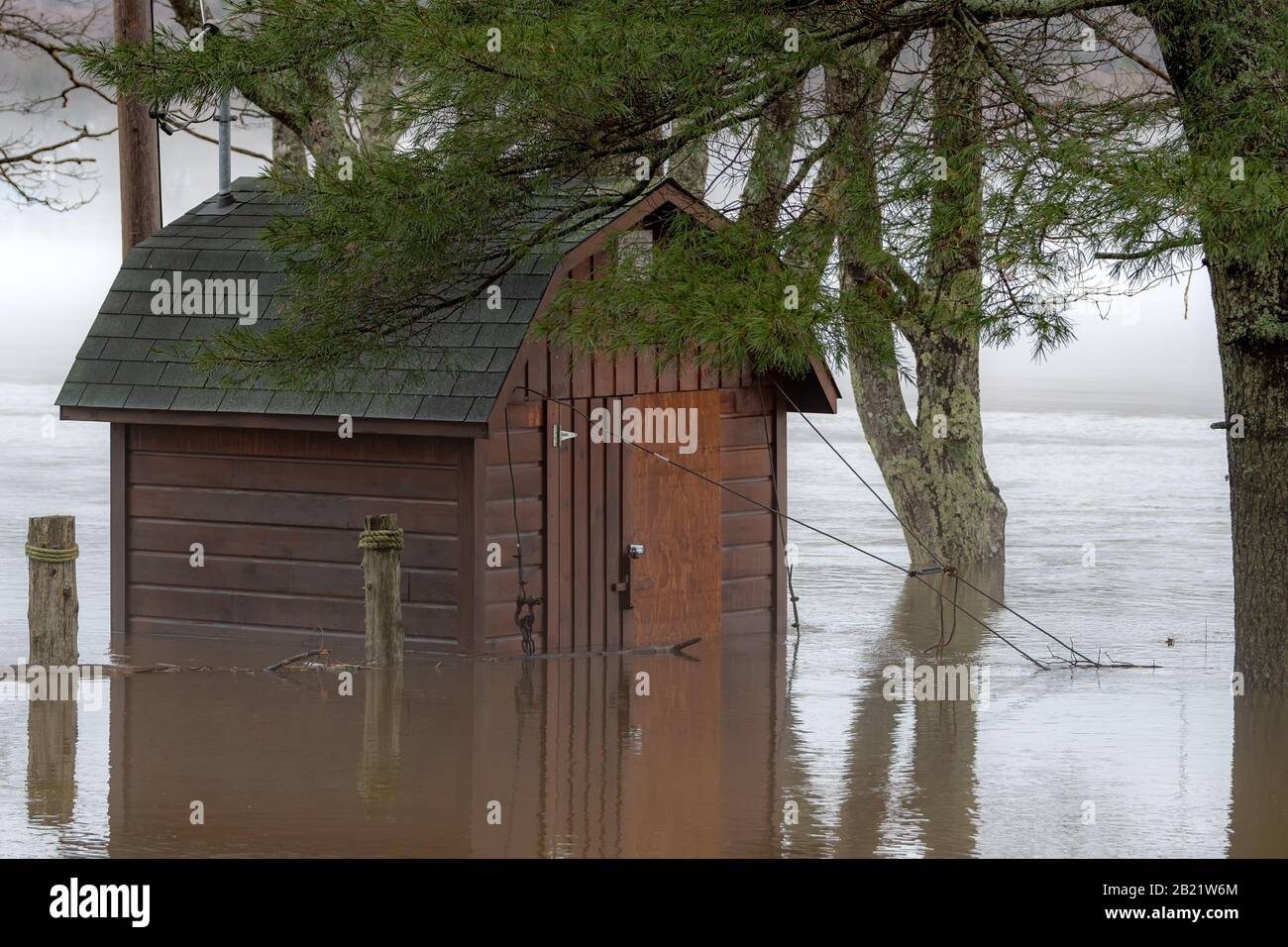 Drowning trees hi-res stock photography and images - Alamy