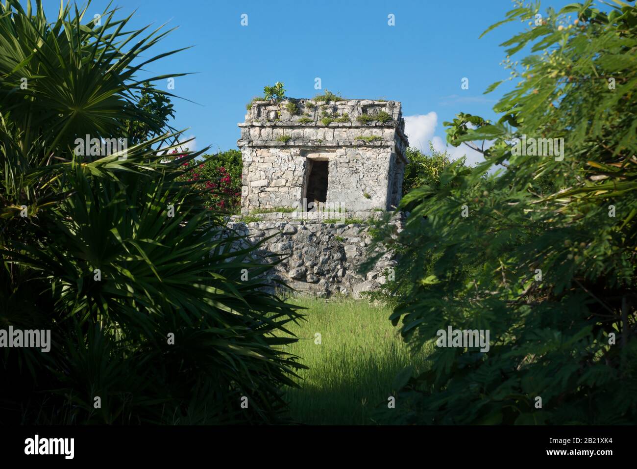 Maya ruins behind tropical bush and lawn with blue sky, Tulum, Mexico ...