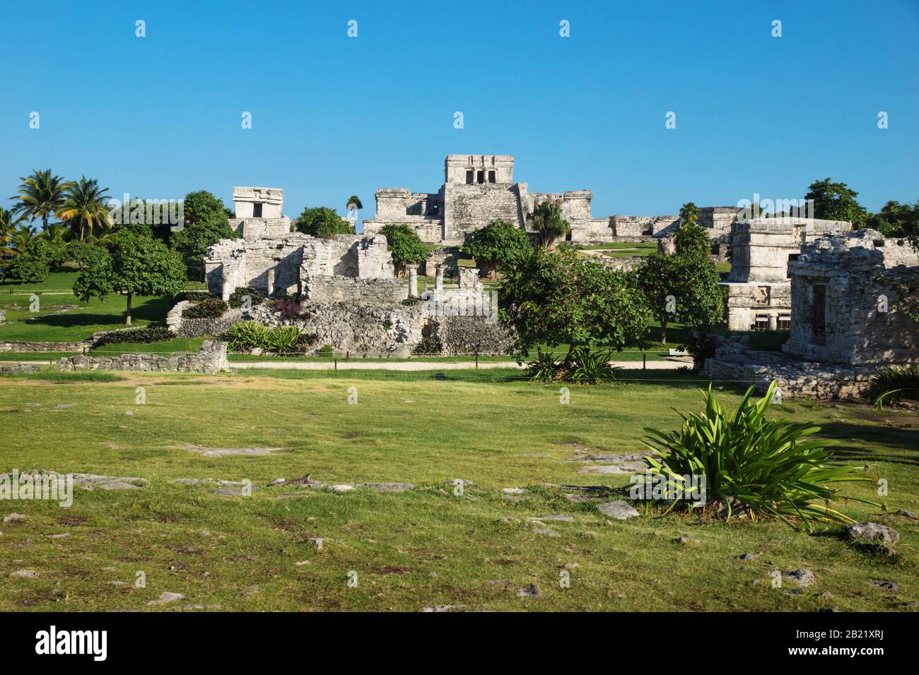El Castillo at Maya ruins with tropical plants and lawn with blue sky ...