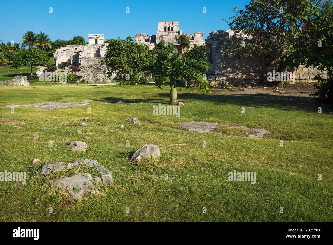 Maya ruins complex with tropical plants and lawn with blue sky, Tulum ...