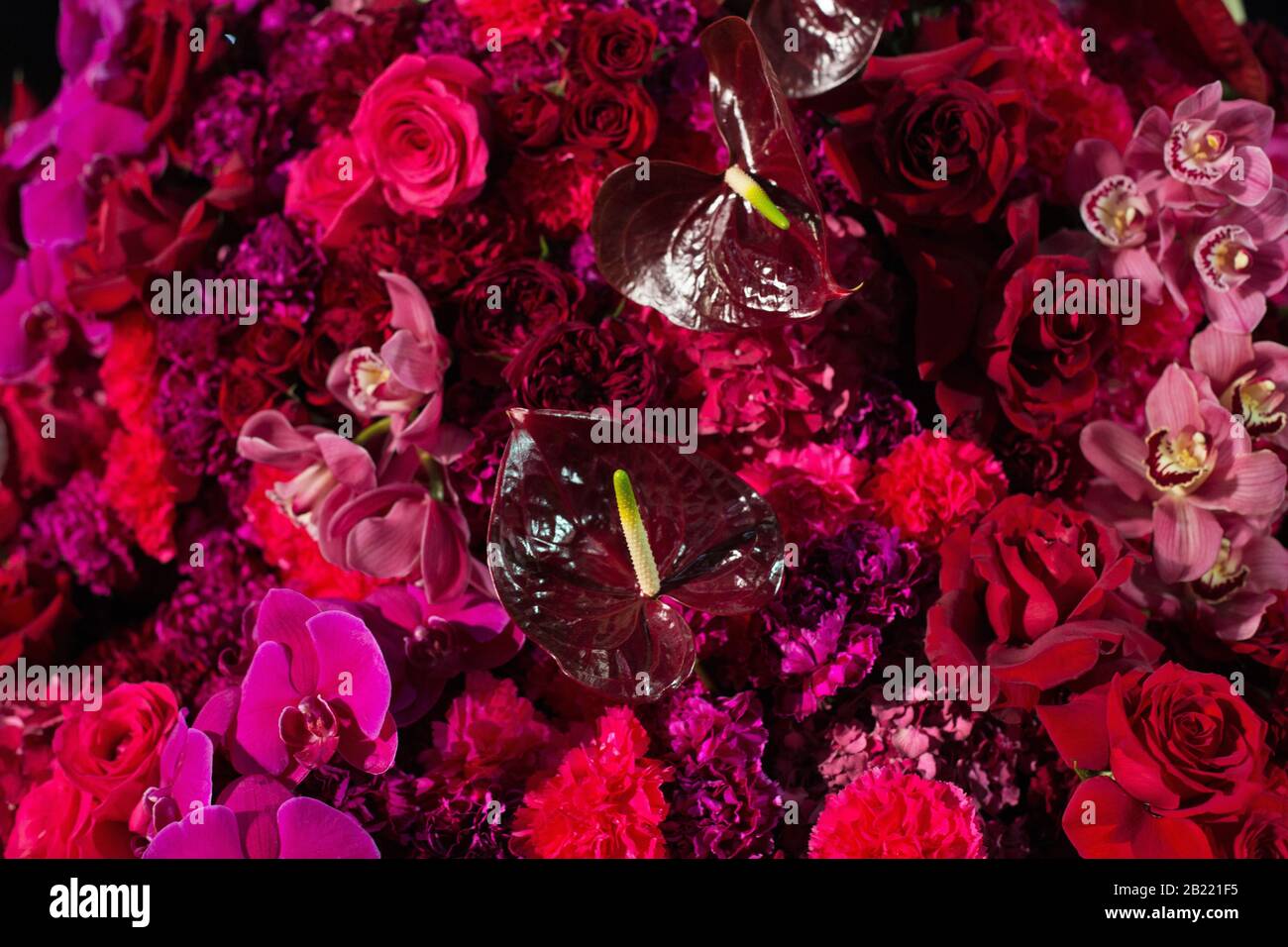 Northwest flower hi-res stock photography and images - Alamy