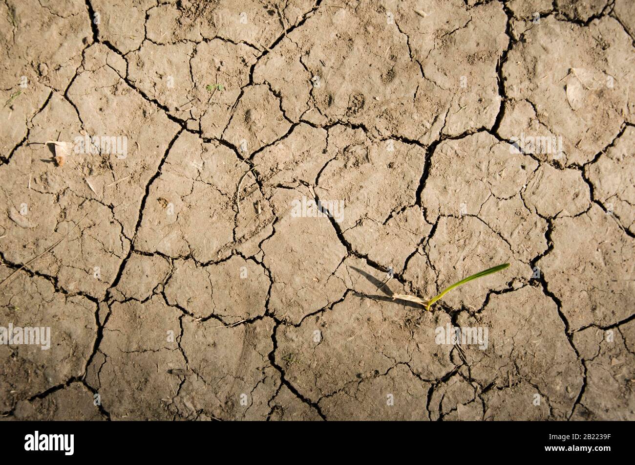 Arid soil hi-res stock photography and images - Alamy