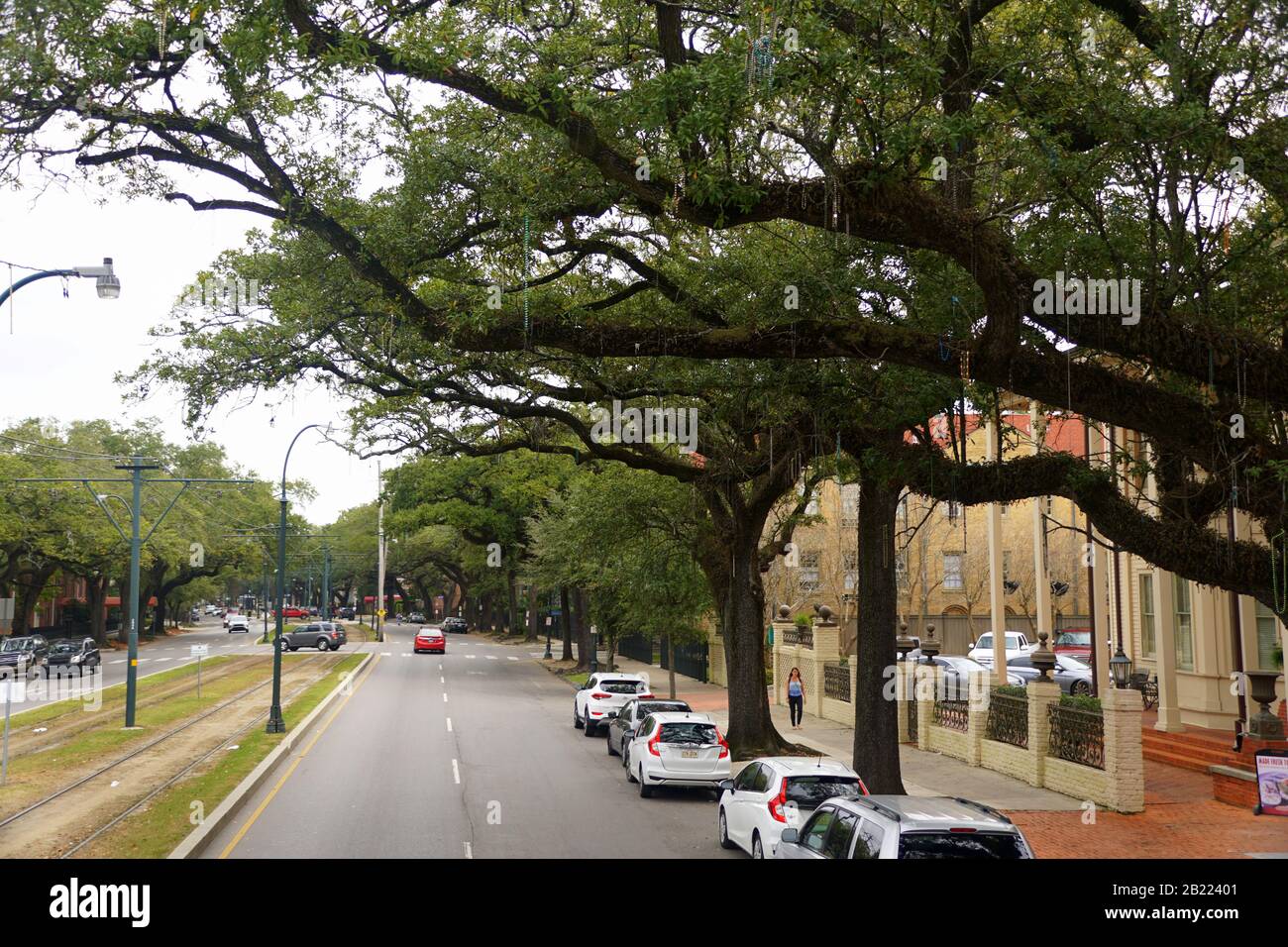 New orleans oak trees hi-res stock photography and images - Alamy
