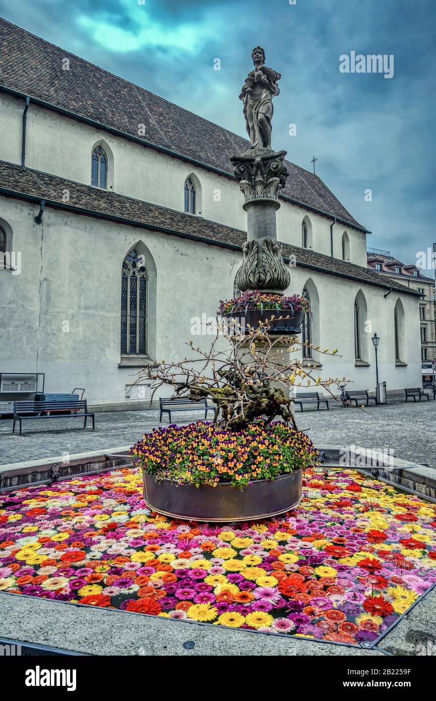 Flowers floating in a stone basin in a street in central Zurich Stock ...