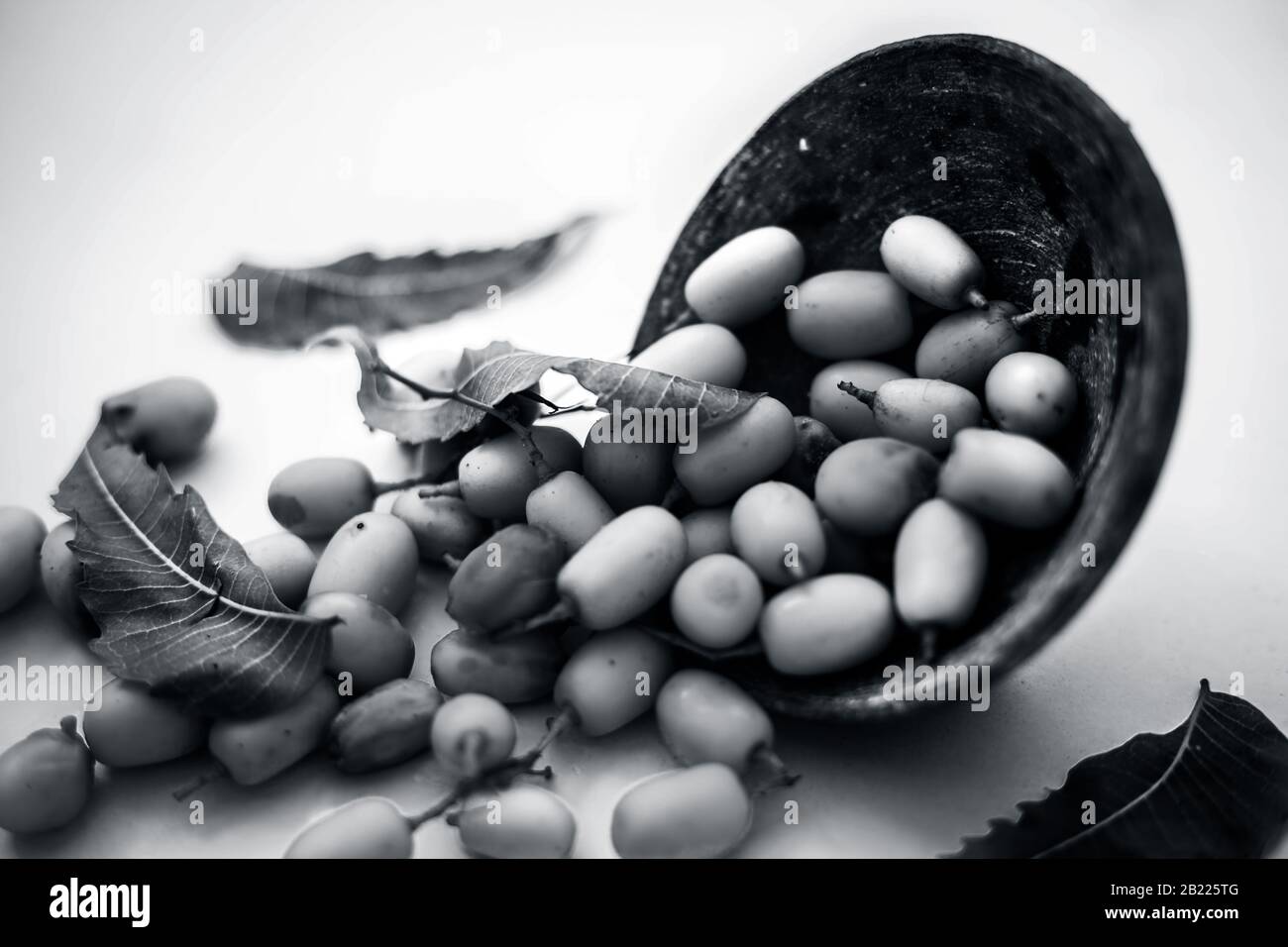 Nimbodi or nimbudi or neem fruit in a clay bowl isolated on white also ...