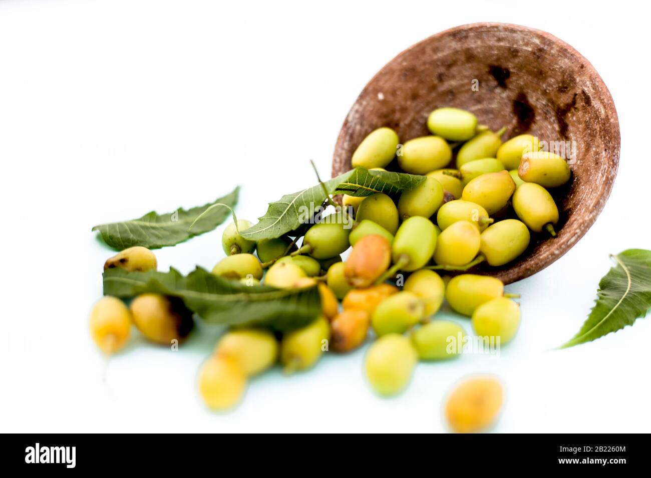 Neemtree hi-res stock photography and images - Alamy