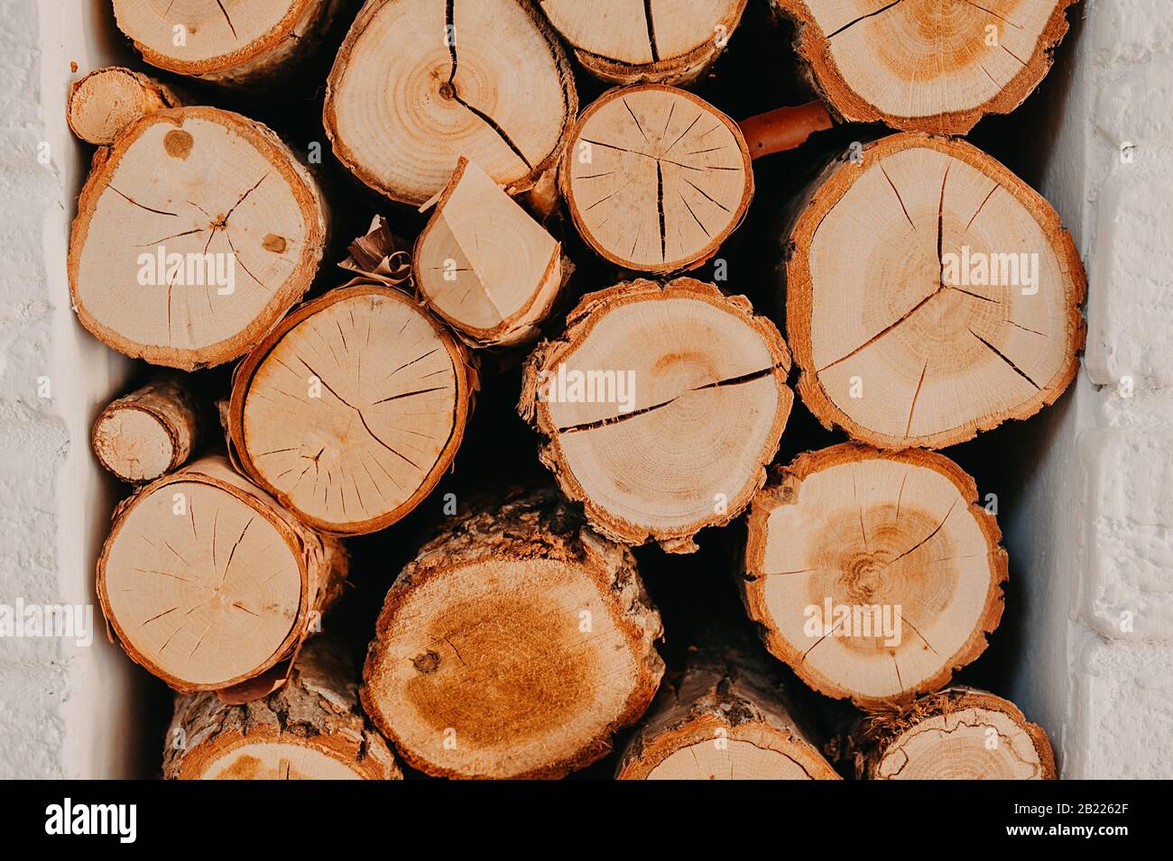 Flammable bark hi-res stock photography and images - Alamy