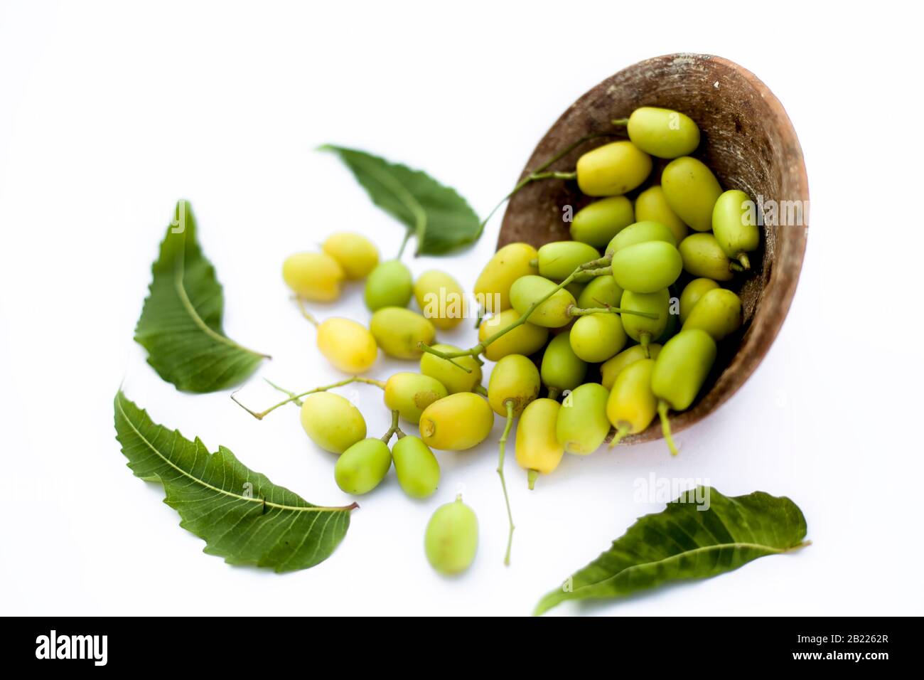 Neem fruit or nim fruit or Indian lilac fruit in a clay bowl isolated ...