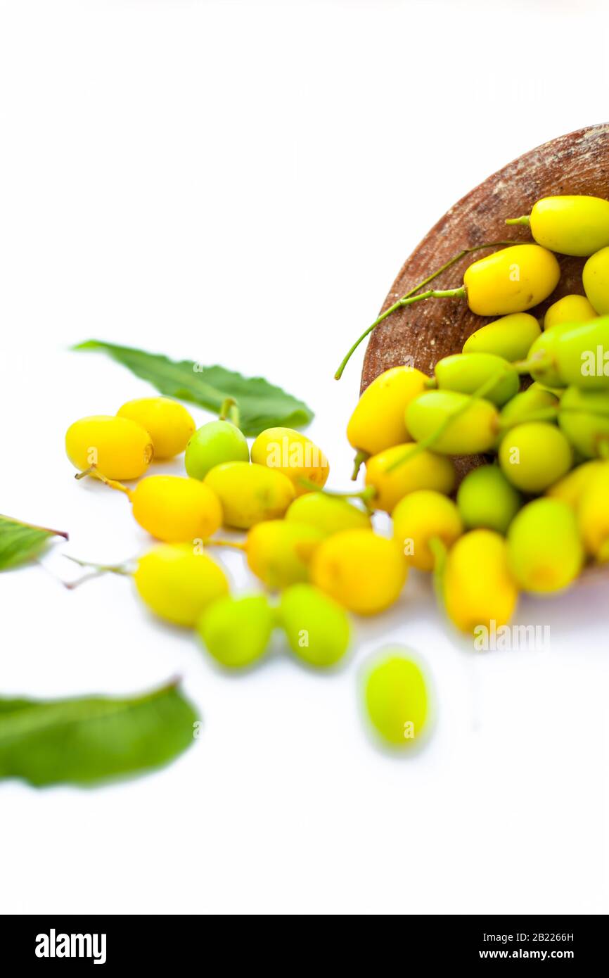 Neem Fruit