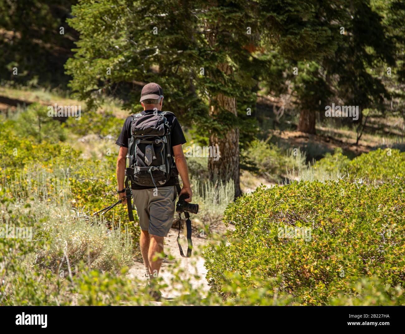 Carry camera hi-res stock photography and images - Alamy
