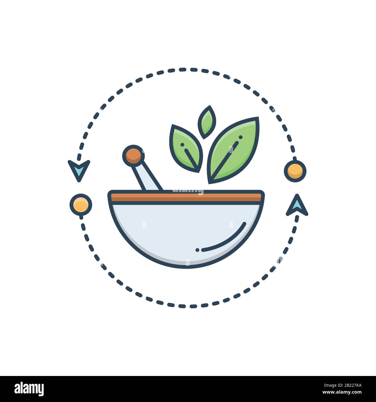 Naturopathy vector vectors hi-res stock photography and images - Alamy