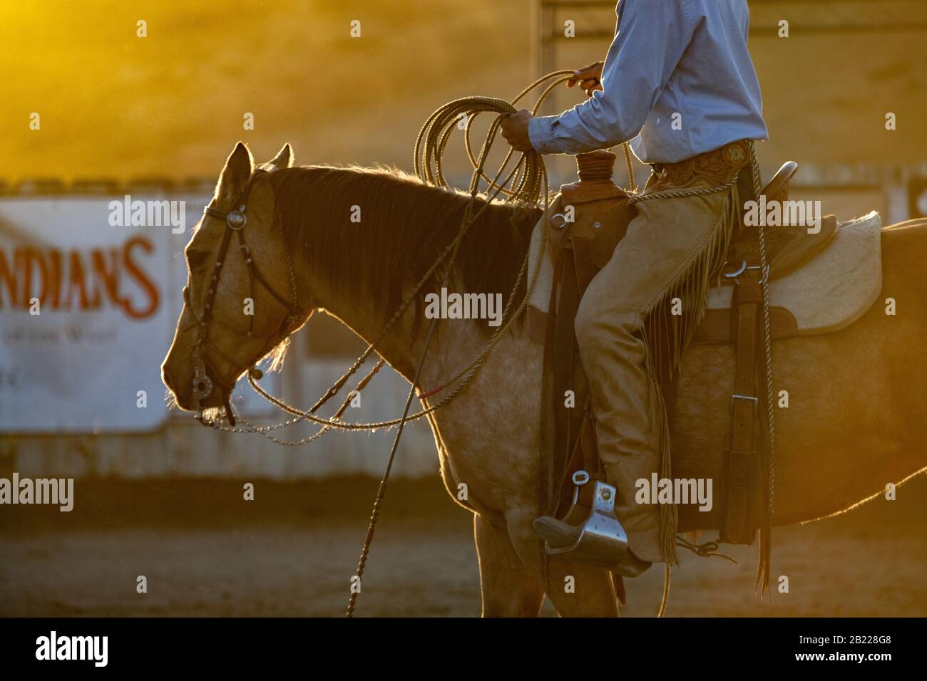 Round pen of horses hi-res stock photography and images - Alamy