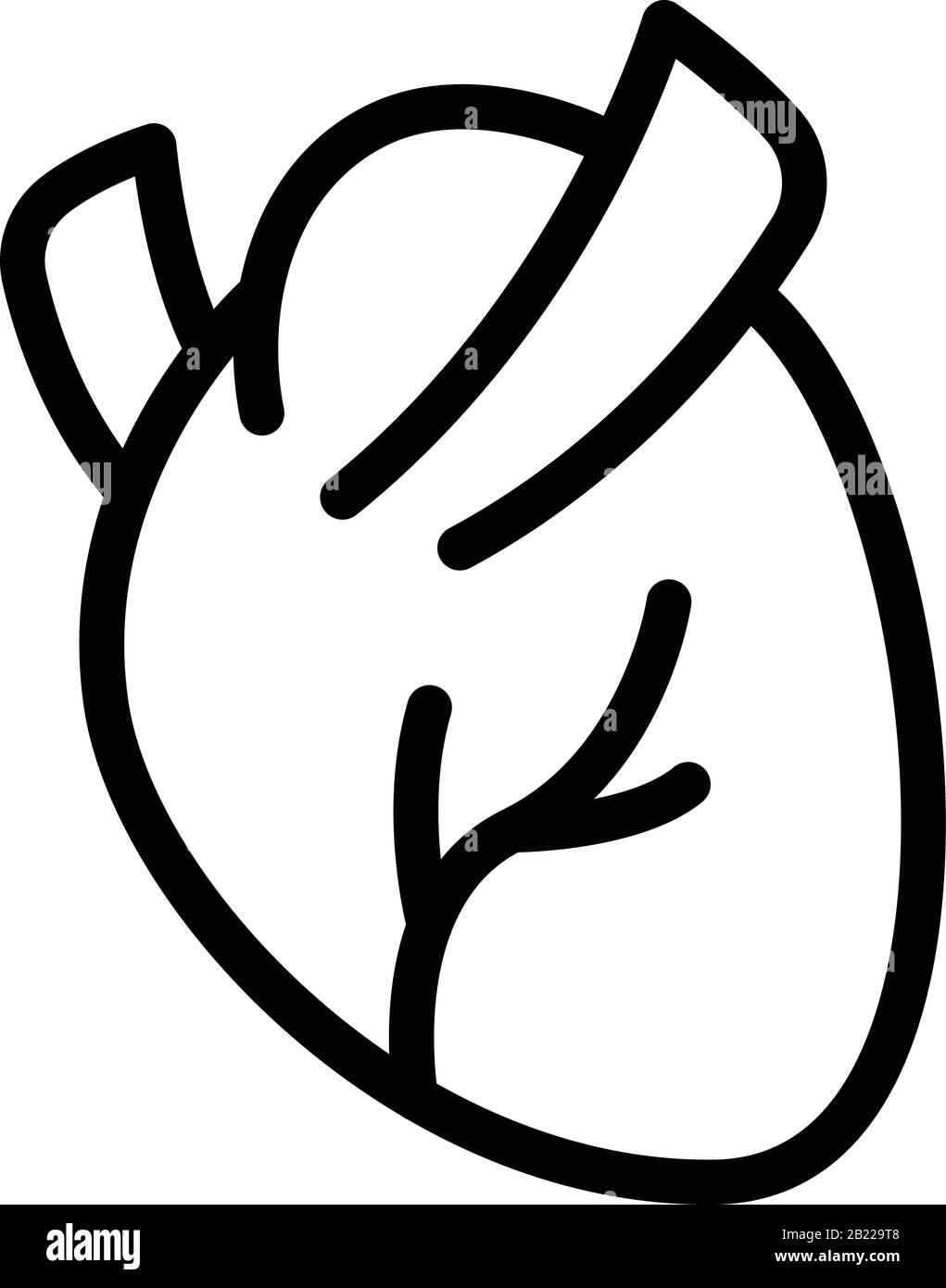 Muscle human heart icon, outline style Stock Vector Image & Art - Alamy