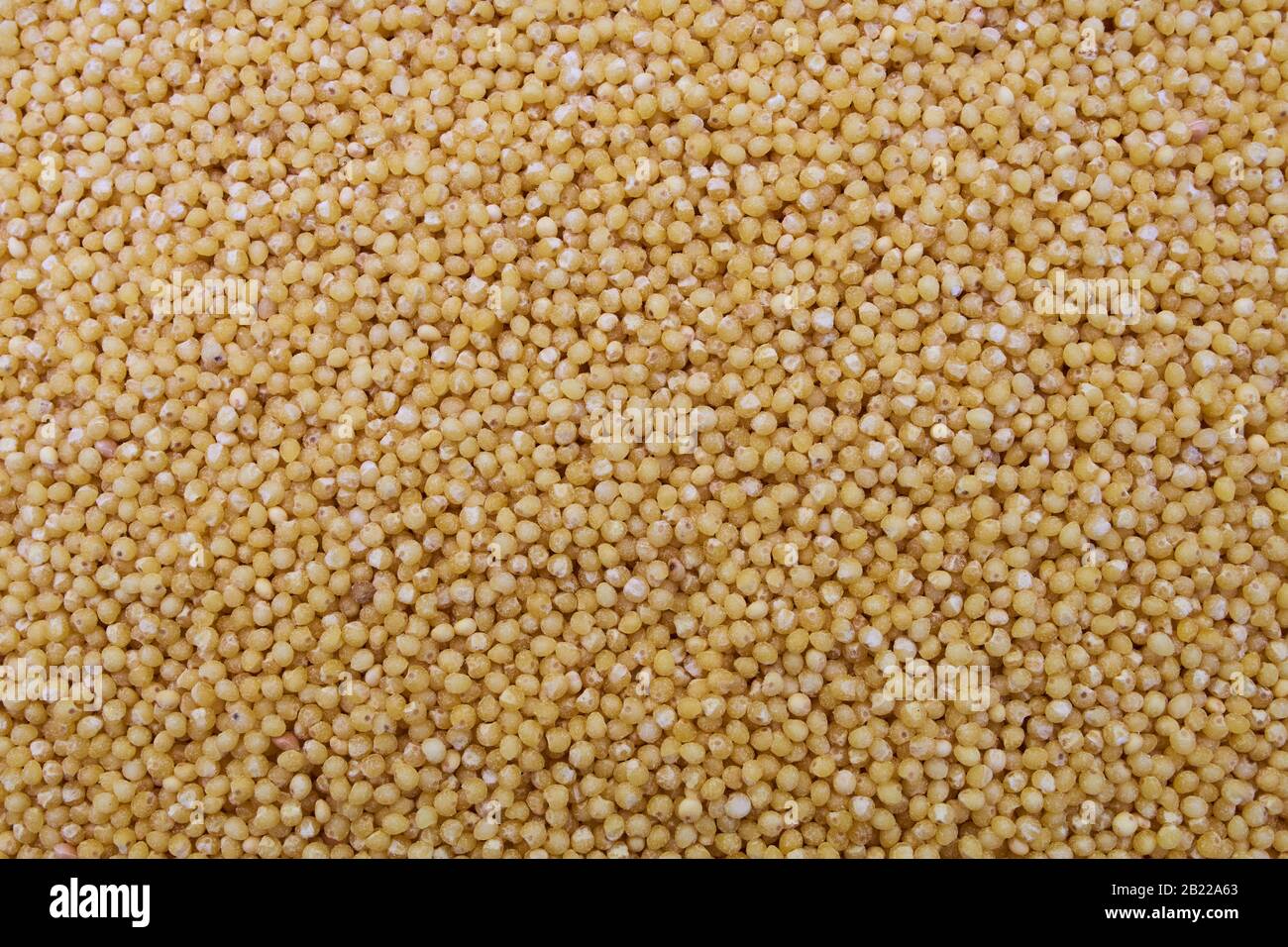 Organic concept.Polished millet texture and details traditional food ...