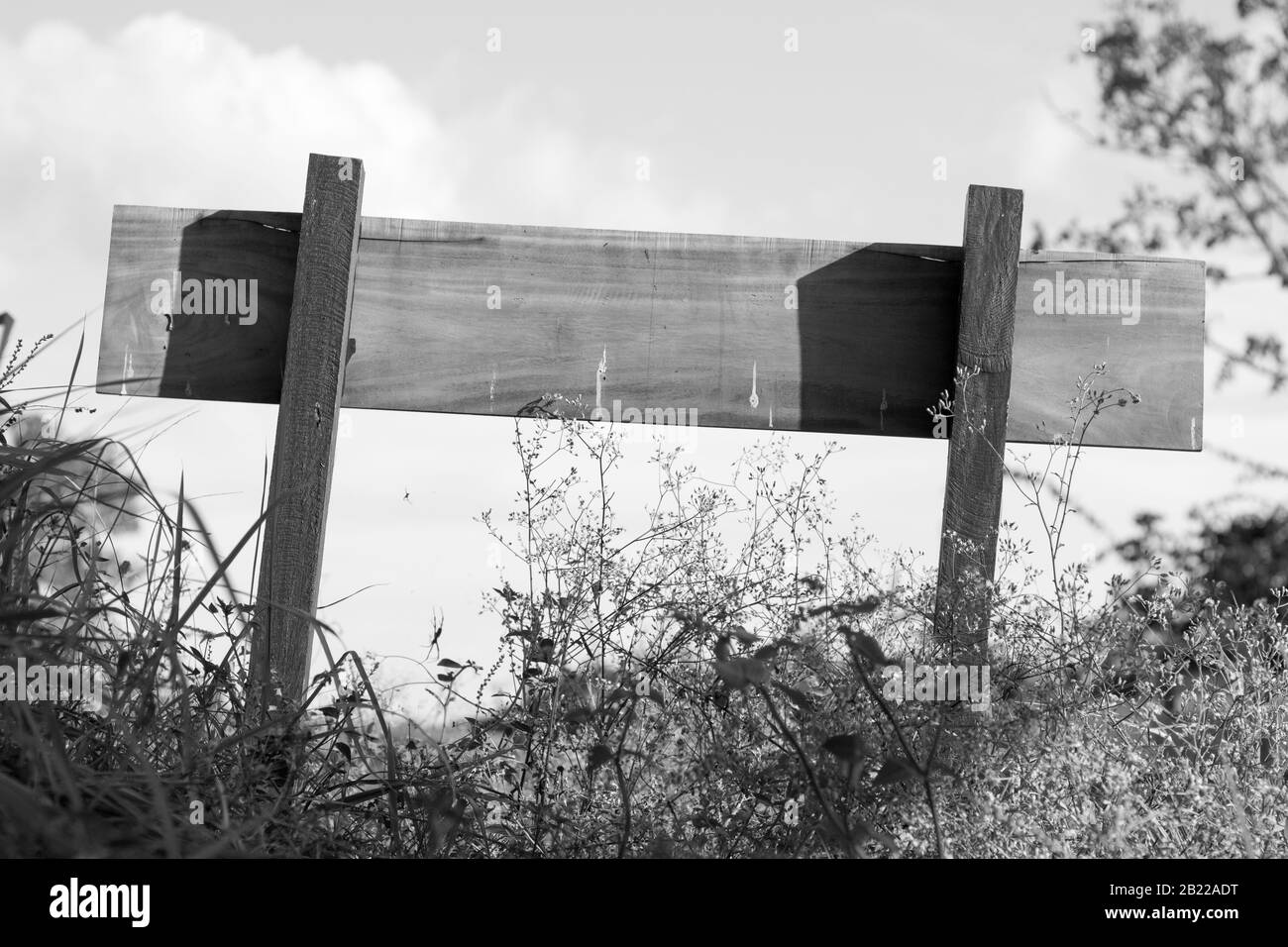 Horror blank space hi-res stock photography and images - Alamy