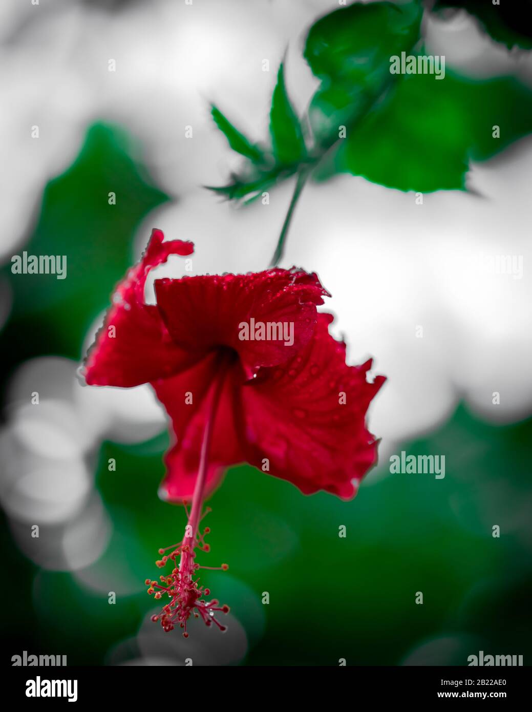 series of photos showing emotion & depth Stock Photo - Alamy