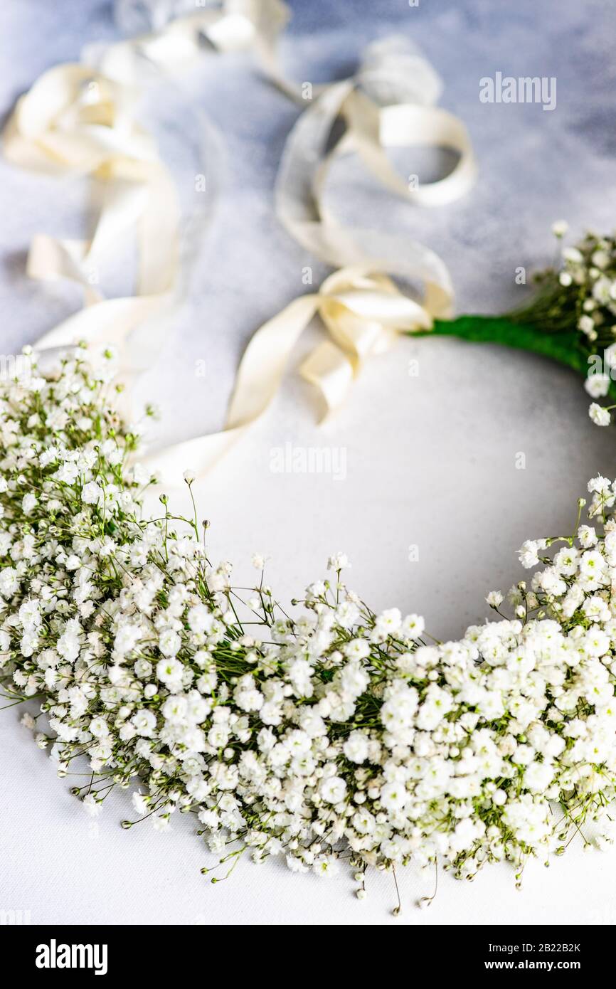 Beautiful white flowers of Gypsophila paniculata plant in bridal ...