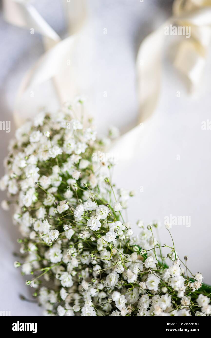 Beautiful white flowers of Gypsophila paniculata plant in bridal ...