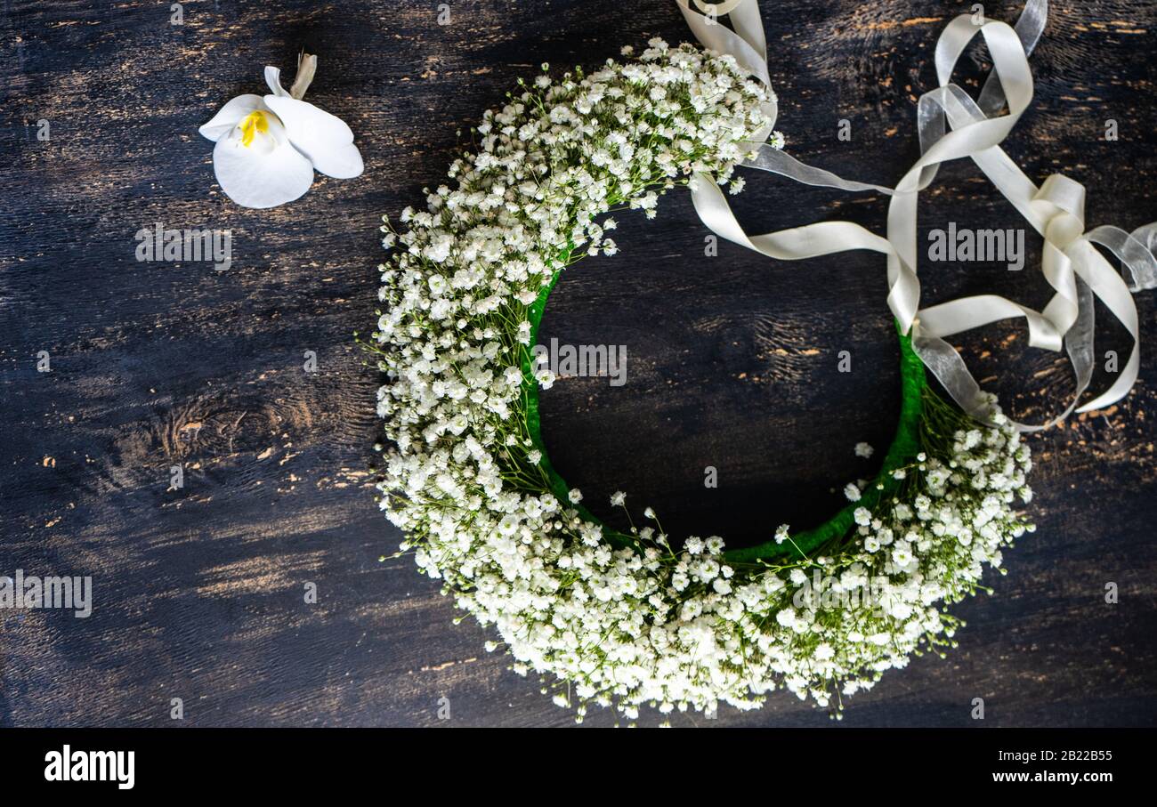 Beautiful white flowers of Gypsophila paniculata plant in bridal ...