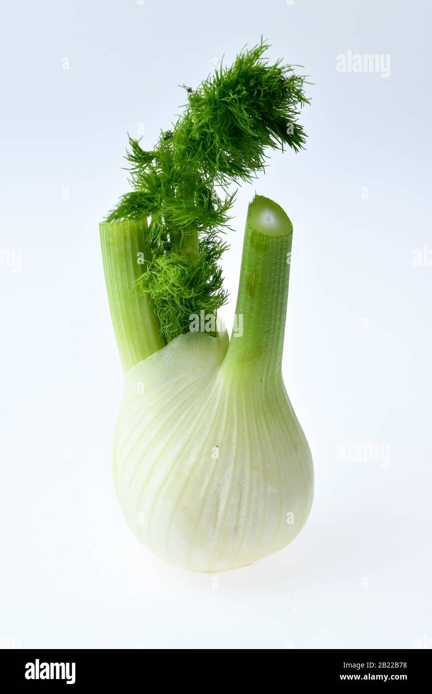 Fenchel gemüse hi-res stock photography and images - Alamy