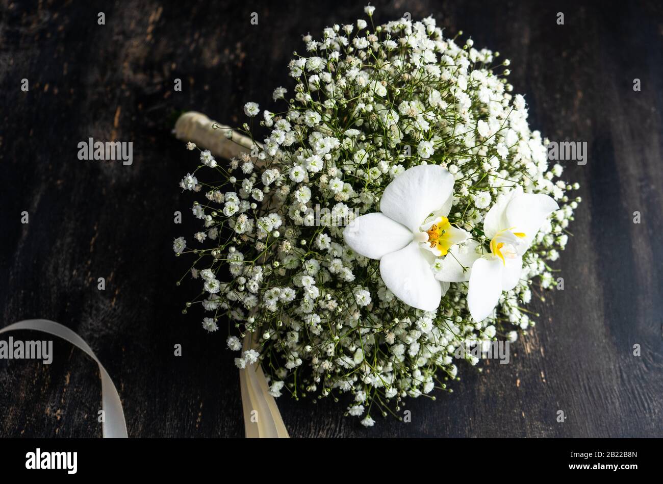 Beautiful white flowers of Gypsophila paniculata plant in bridal ...