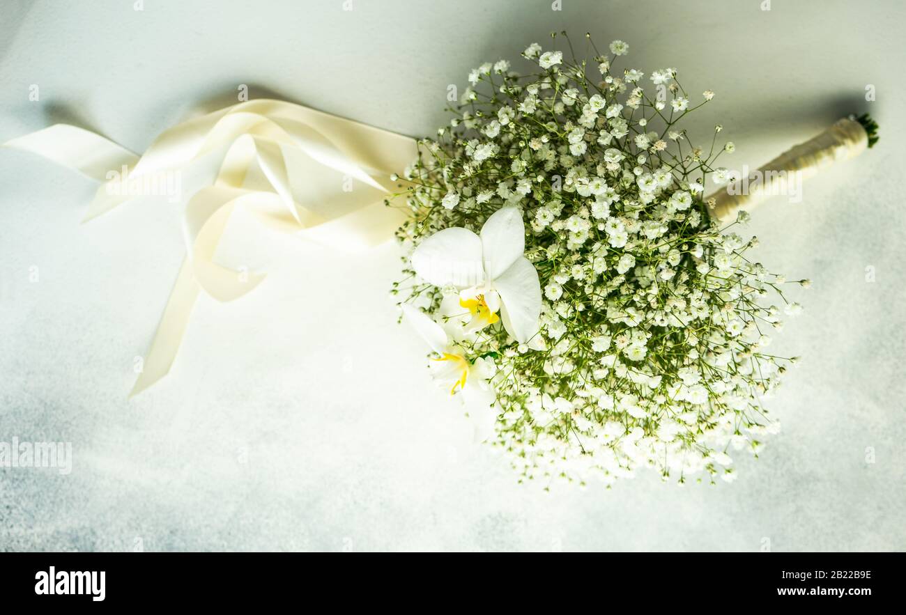 Gypsophila paniculata florist hi-res stock photography and images - Alamy