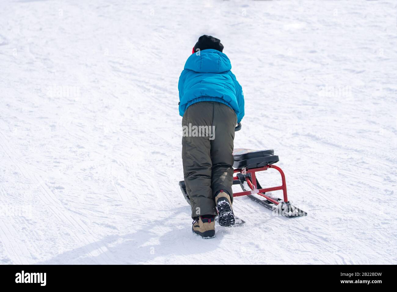 Back view of child in pulling sledge and running up snowy slope while ...