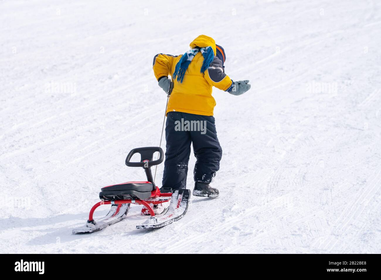 Back view of child in pulling sledge and running up snowy slope while ...