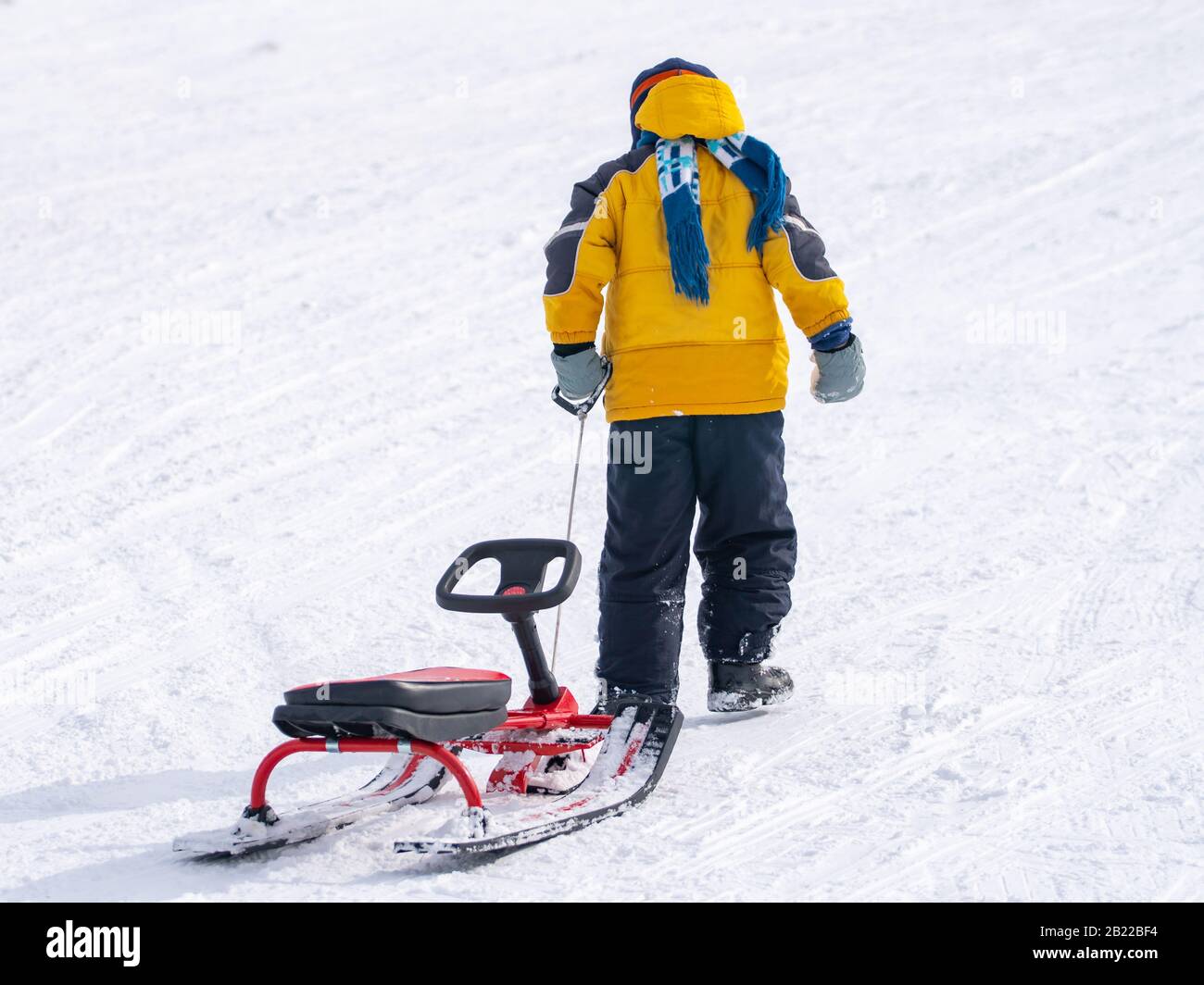 Back view of child in pulling sledge and running up snowy slope while ...