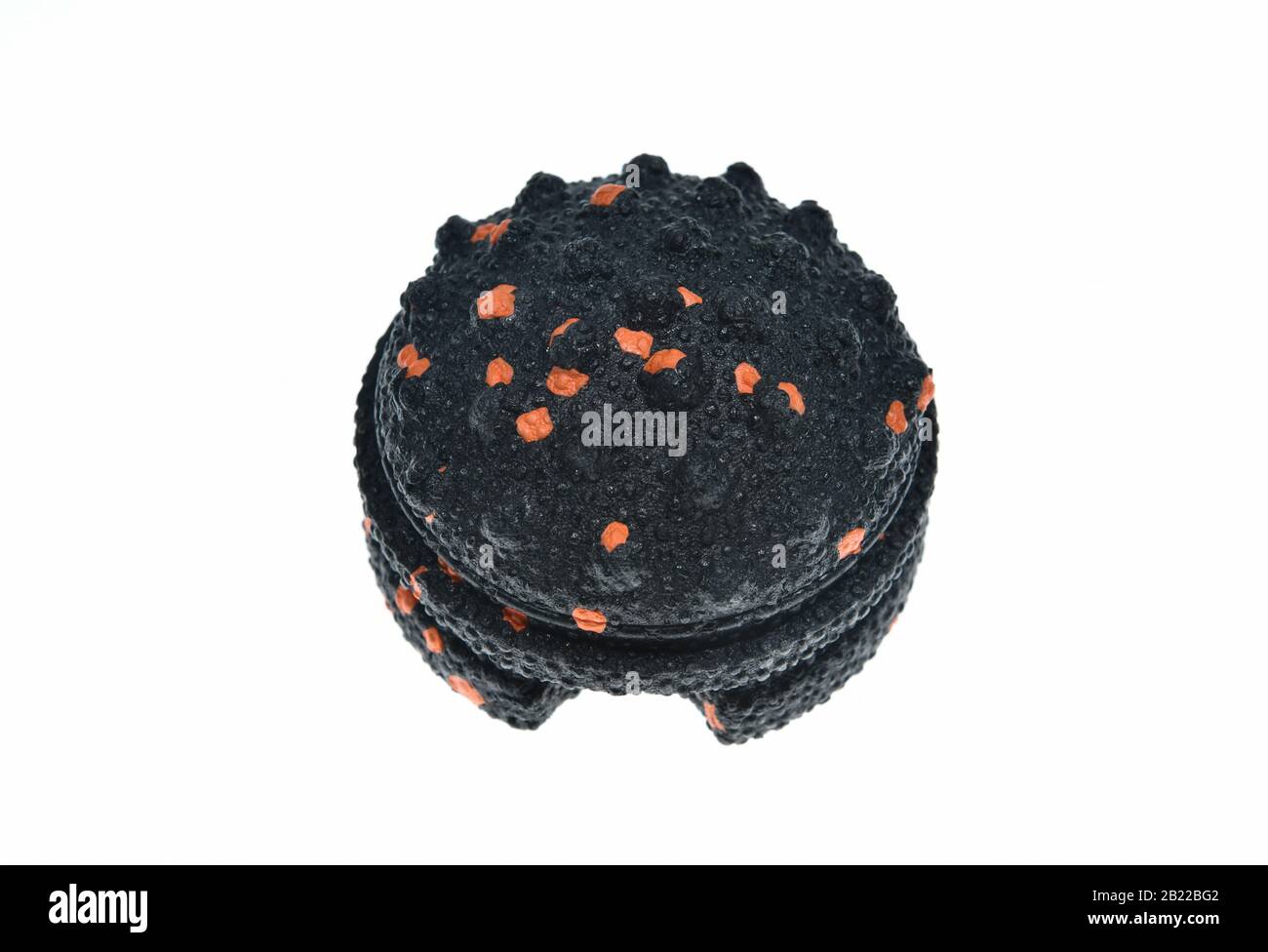 Faszie hi-res stock photography and images - Alamy