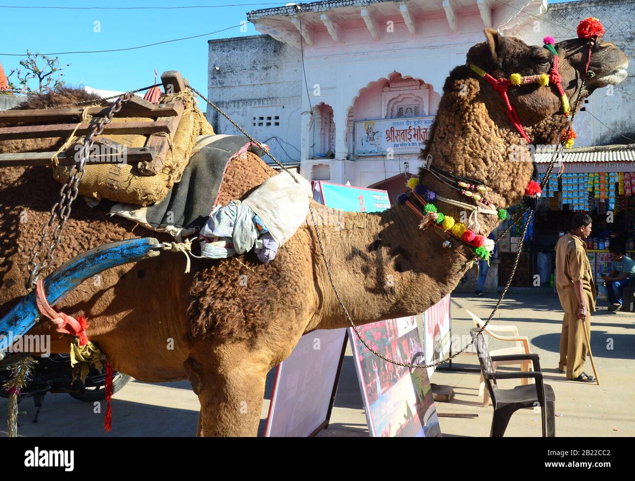 Camel decoration jaisalmer india hi-res stock photography and images ...