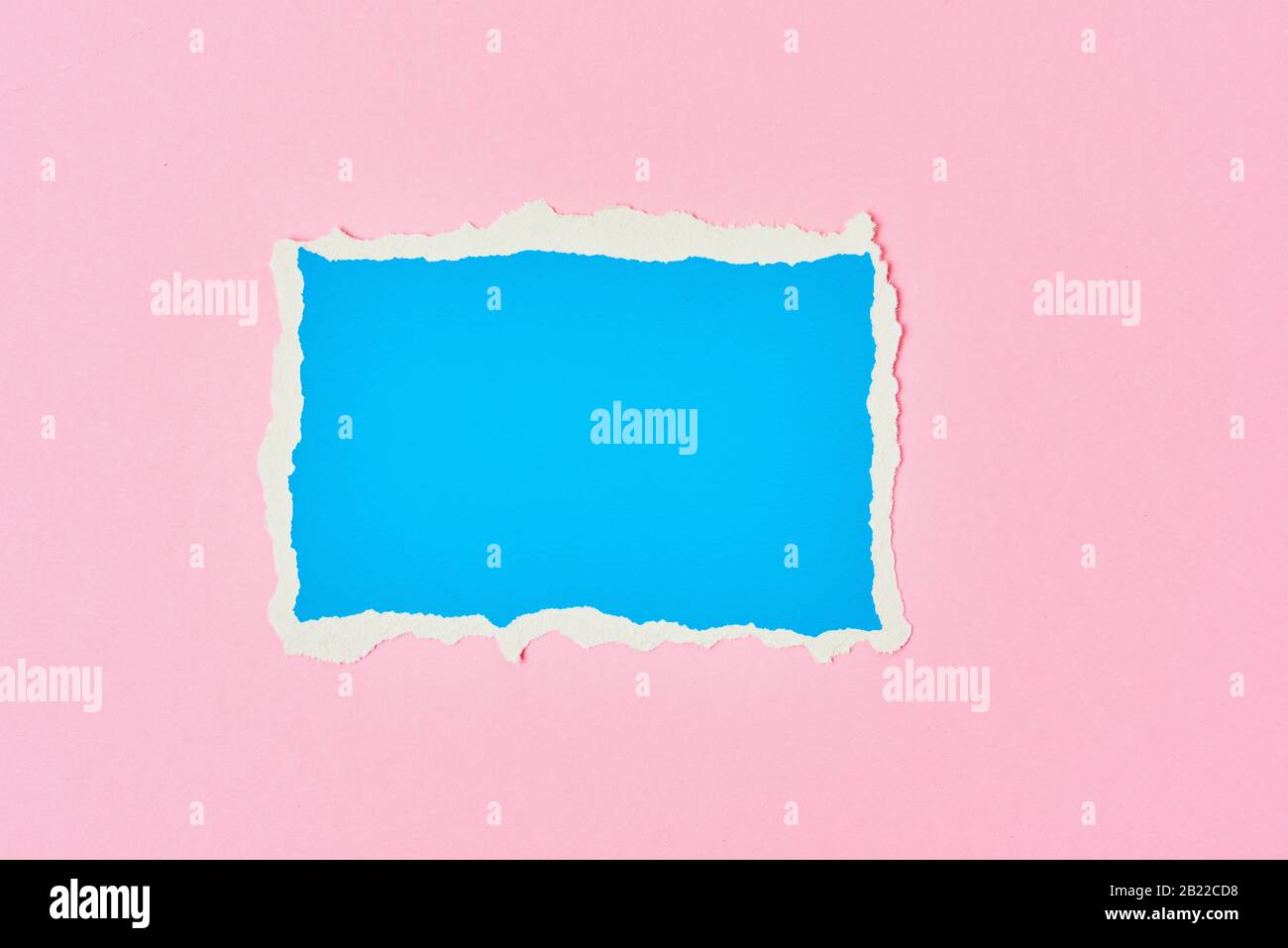 Ripped blue paper torn edge sheet on pink background. Template with ...